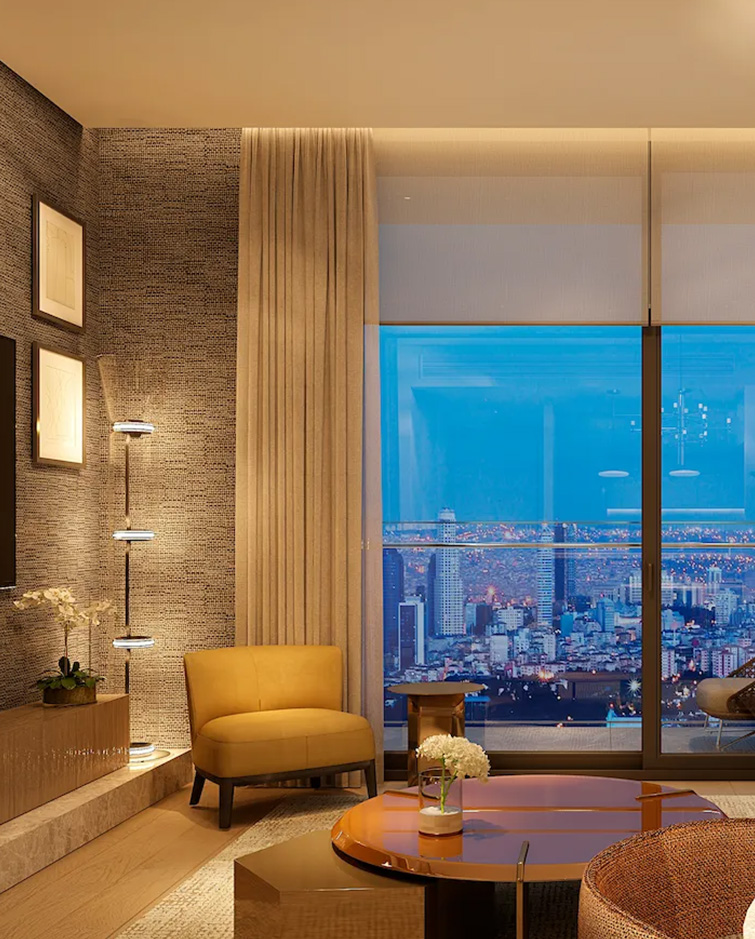 Rams Beyond Project - Ler Properties