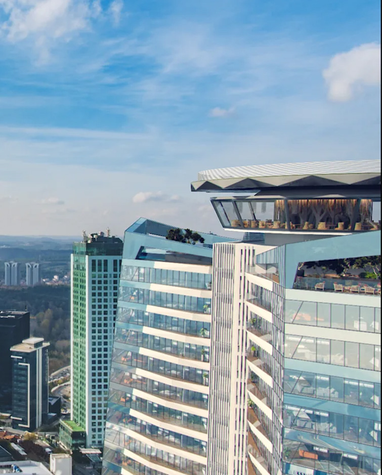 Rams Beyond Project - Ler Properties